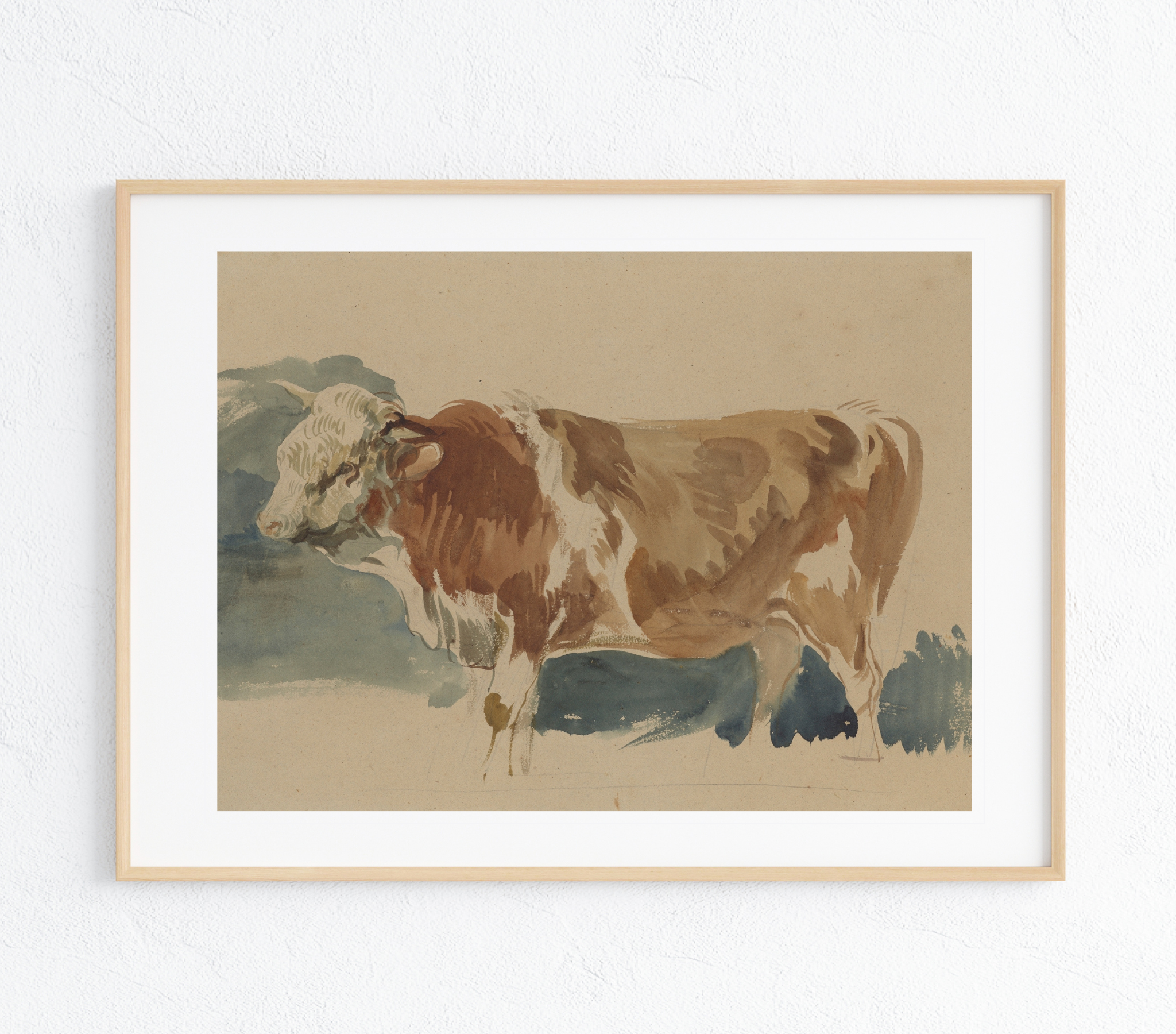 Study of a Spotted Ox Art Print – Everett Park