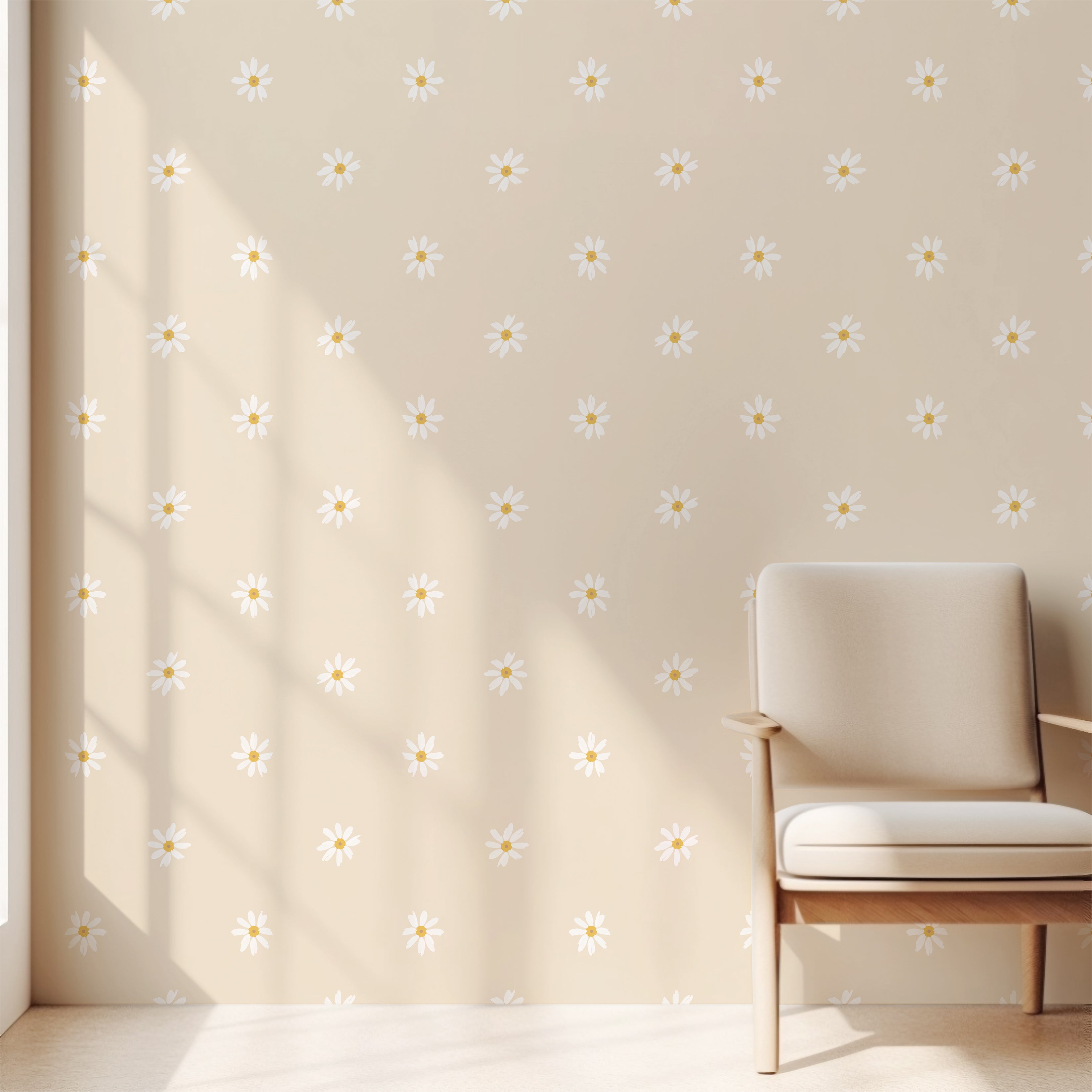 Meadow Daisy – Everett Park