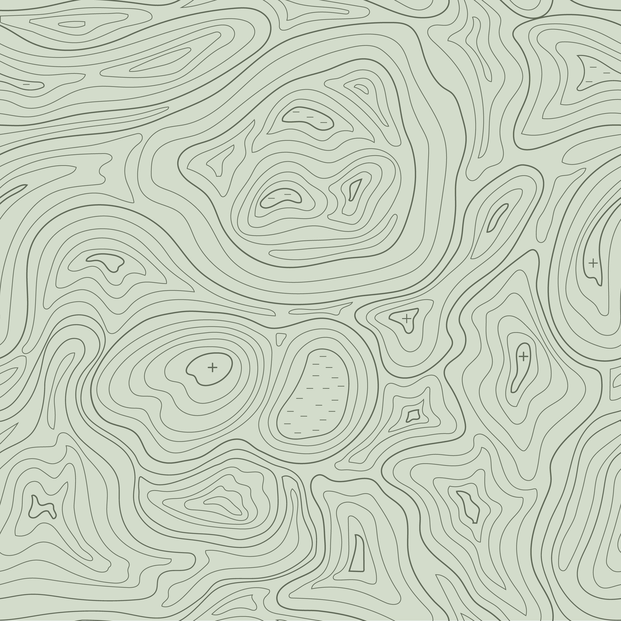 Green Topo Wallpaper – Everett Park